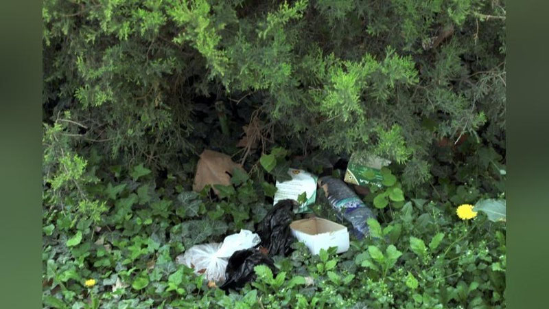 Минэкологии призвало отдыхающих не срывать растения и не мусорить на ...
